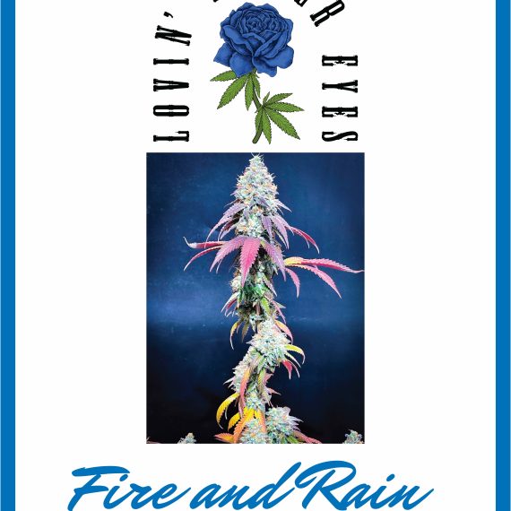 Fire & Rain (LOVIN) – ETHOS