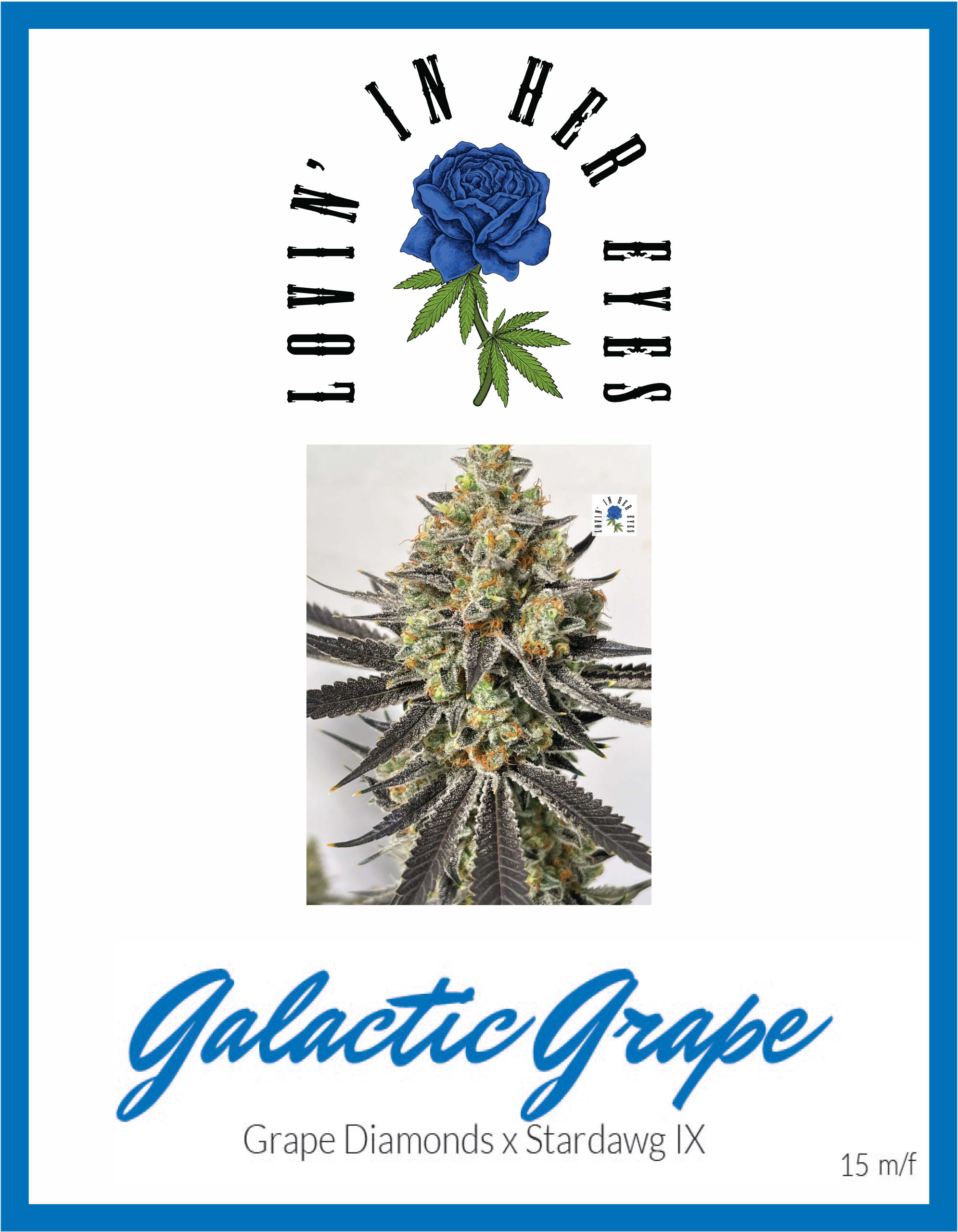 Galactic Grape (LOVIN) – ETHOS