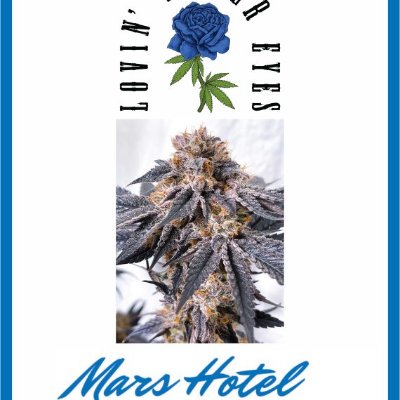 Mars Hotel (LOVIN) – ETHOS