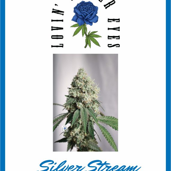 Silver Stream (LOVIN) – ETHOS